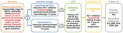 Frontiers | Induction PD-1 inhibitor toripalimab plus chemotherapy ...