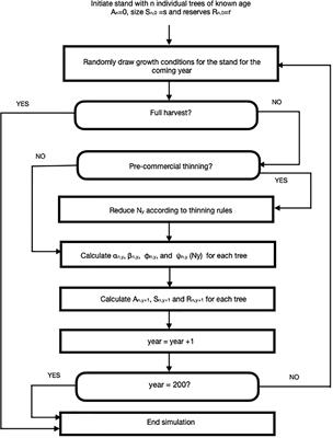 Frontiers | Tree adaptive growth (TAG) model: a life-history theory ...