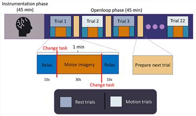 Frontiers in Neuroinformatics | Articles