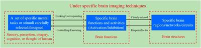 Frontiers | Brain-computer interface paradigms and neural coding