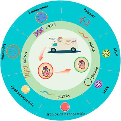 Frontiers | Nanotechnology-based non-viral vectors for gene delivery in ...