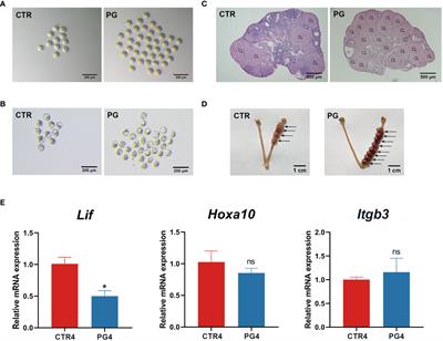 Frontiers | Transcriptome profiling reveals superovulation with the ...