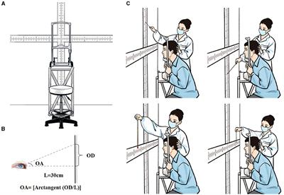 Frontiers | Reduced maximal range of ocular movements and its response ...