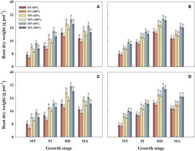 Frontiers | Enhancing root physiology for increased yield in water ...