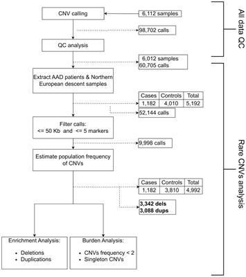 Frontiers | Rare copy number variation in autoimmune Addison’s disease