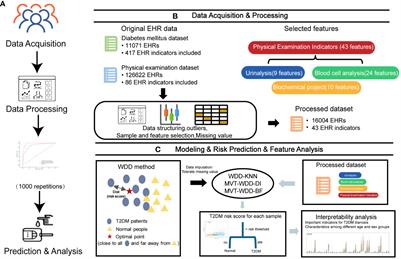 Frontiers | Identifying diagnostic indicators for type 2 diabetes ...