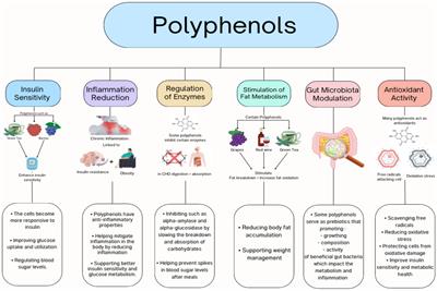 Frontiers | Do polyphenols affect body fat and/or glucose metabolism?
