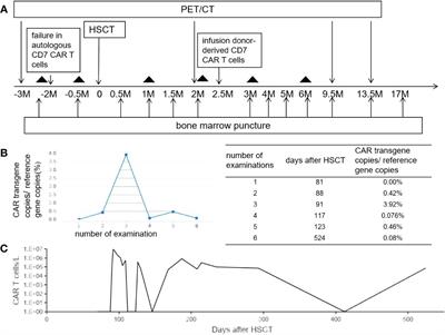 Frontiers | Case report: Preventive infusion of donor-derived CD7 ...