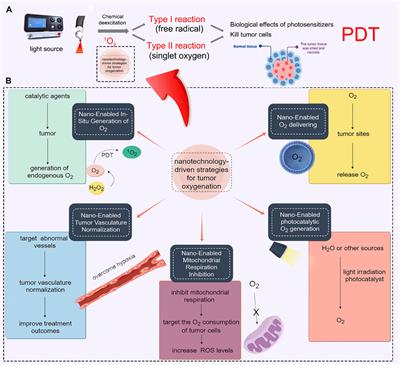 Frontiers | Engineering tumor-oxygenated nanomaterials: advancing ...