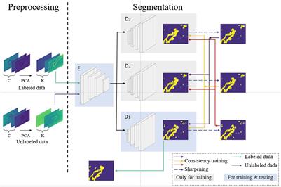 Frontiers | A semi-supervised segmentation method for microscopic ...
