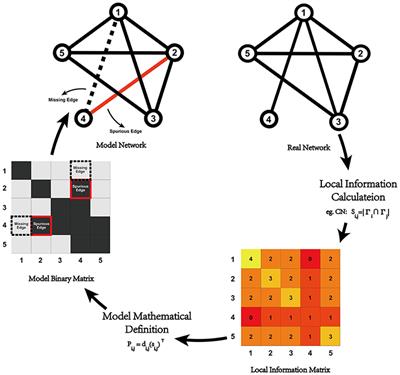 Frontiers | Comparison of Local Information Indices Applied in Resting ...