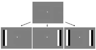 Frontiers | Neural Differences between Covert and Overt Attention ...