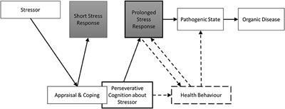 Frontiers | Perseverative Cognition and Health Behaviors: A Systematic ...