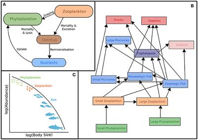 Frontiers | Modeling What We Sample and Sampling What We Model ...