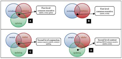 Frontiers | Informing the Structure of Executive Function in Children ...