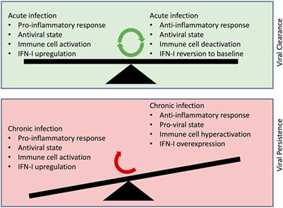 Frontiers | Type-I Interferon Responses: From Friend to Foe in the ...