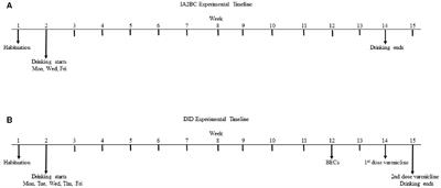 Frontiers | A Rat Drinking in the Dark Model for Studying Ethanol and ...