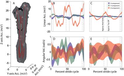 Frontiers | Quantification of Head Movement Predictability and ...