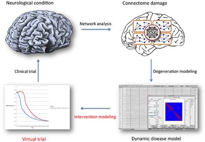 Frontiers | The Virtual Trial