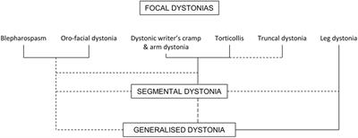 Frontiers | How Many Dystonias? Clinical Evidence