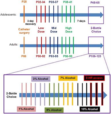 Frontiers | Nicotine Increases Alcohol Intake in Adolescent Male Rats