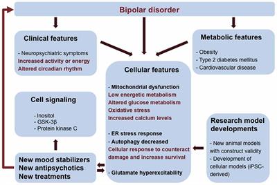 Frontiers | Molecular Mechanisms of Bipolar Disorder: Progress Made and ...