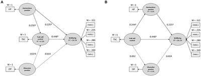 Frontiers | Passion, Trait Self-Control, and Wellbeing: Comparing Two ...