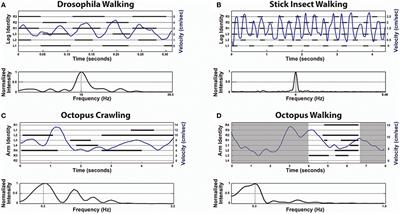 Frontiers | Embodied Organization of Octopus vulgaris Morphology ...