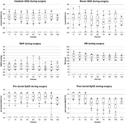 Frontiers | Monitoring Cerebral and Renal Oxygenation Status during ...