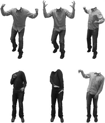 Frontiers | Postural Communication of Emotion: Perception of Distinct ...