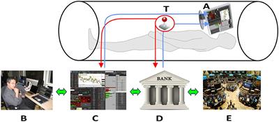 Frontiers | Neural Correlates of Direct Access Trading in a Real Stock ...