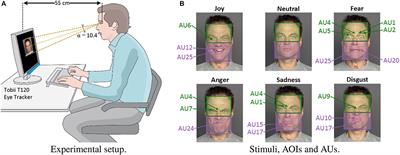 Frontiers | Gaze Behavior Consistency among Older and Younger Adults ...