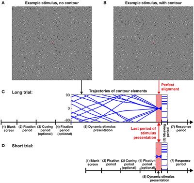 Frontiers | Contour Integration in Dynamic Scenes: Impaired Detection ...