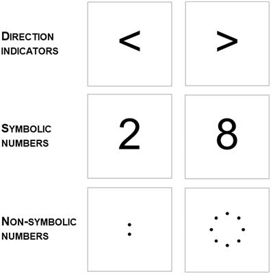 Frontiers | Act on Numbers: Numerical Magnitude Influences Selection ...