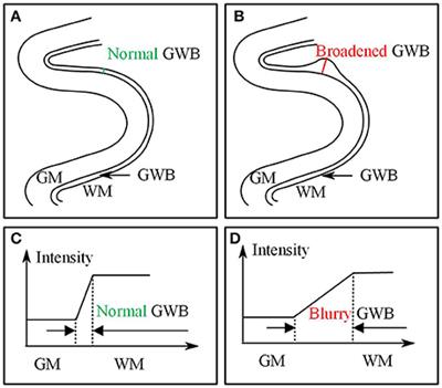 Frontiers | Local Directional Probability Optimization for ...
