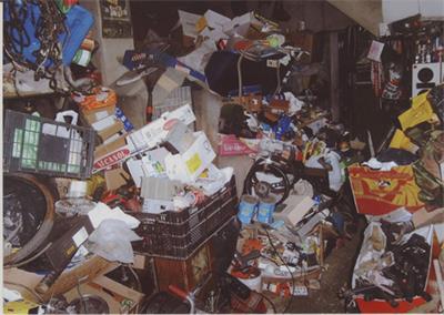 Frontiers | Hoarding Disorder: A Case Report