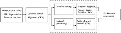 Frontiers | Enhanced Data Representation by Kernel Metric Learning for ...