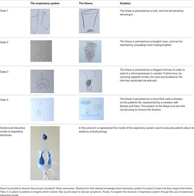 Frontiers | The IARA Model as an Integrative Approach to Promote ...