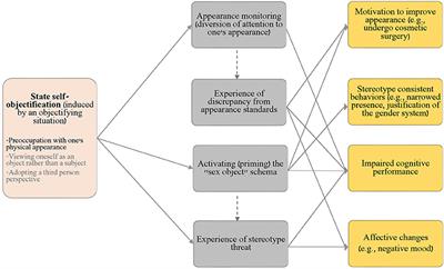 Frontiers | Experimental Studies on State Self-Objectification: A ...