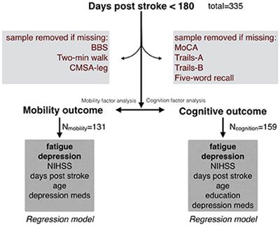 Frontiers | Post-stroke Fatigue and Depressive Symptoms Are ...