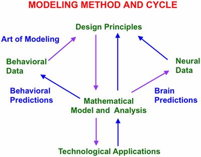 Frontiers | Acetylcholine Neuromodulation in Normal and Abnormal ...