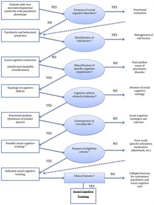 Frontiers | Overview of Social Cognitive Dysfunctions in Rare ...