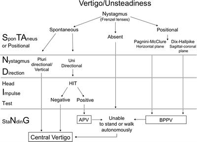Frontiers | Differential Diagnosis of Vertigo in the Emergency ...