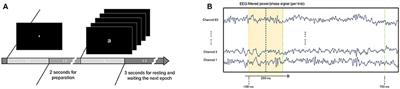 Frontiers | Decoding English Alphabet Letters Using EEG Phase Information