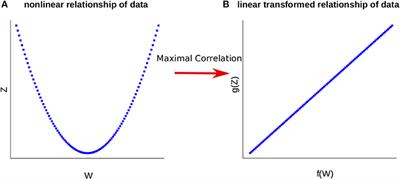 Frontiers | Stoichiometric Correlation Analysis: Principles of ...
