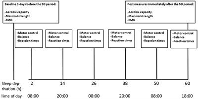 Sleep Deprivation Effects Timeline
