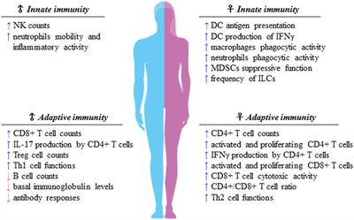 Frontiers | Sexual Dimorphism of Immune Responses: A New Perspective in ...