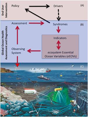 Frontiers | Perspectives on a Global Observing System to Assess Ocean ...
