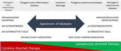 Frontiers | The Future of Immunotherapy: A 20-Year Perspective