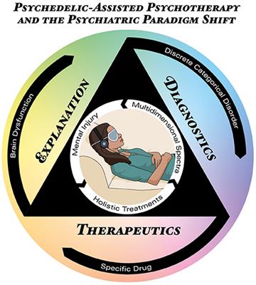 Frontiers | Psychedelic-Assisted Psychotherapy: A Paradigm Shift in ...